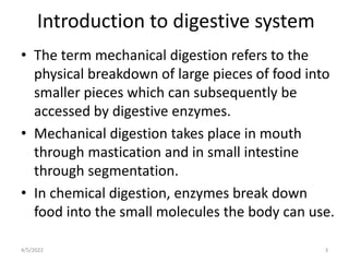 Digestive System ppt.pdf
