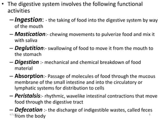 Digestive System ppt.pdf