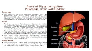 the digestive system overview and introduction | PPTX | Nutrition ...