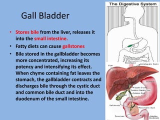 Digestive System PPT.pdf................ | PDF