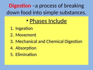 Digestive_System_PPT.dfgygfgrdghdgdfsdfsdhh | PPT