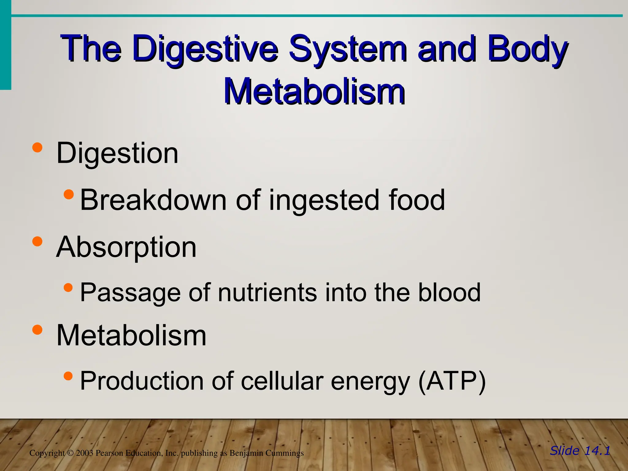 DIGESTIVE SYSTEM Power point presentation | PPT