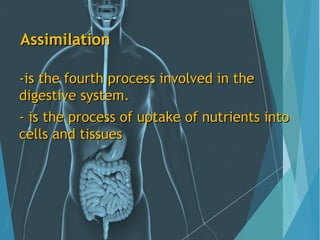 Digestive System PPT.ppt.................. | PPT