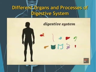 Digestive System PPT.ppt.................. | PPT