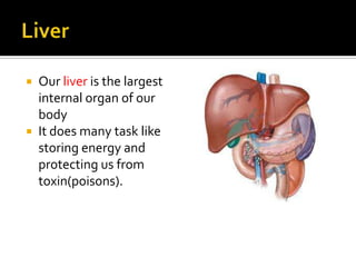 Digestive System pp | PPTX