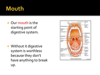 Digestive system pp talmost done1 | PPTX