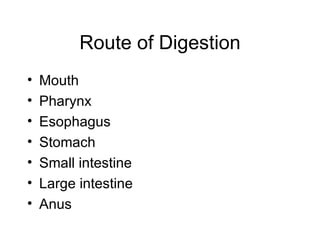 Digestive system ppt moodle | PPT