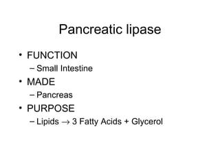 Digestive System Ppt | PPT