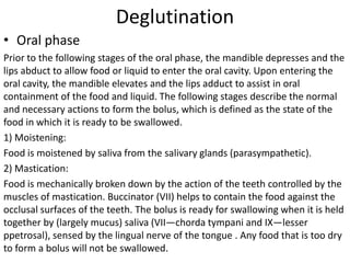Digestive system | PPTX