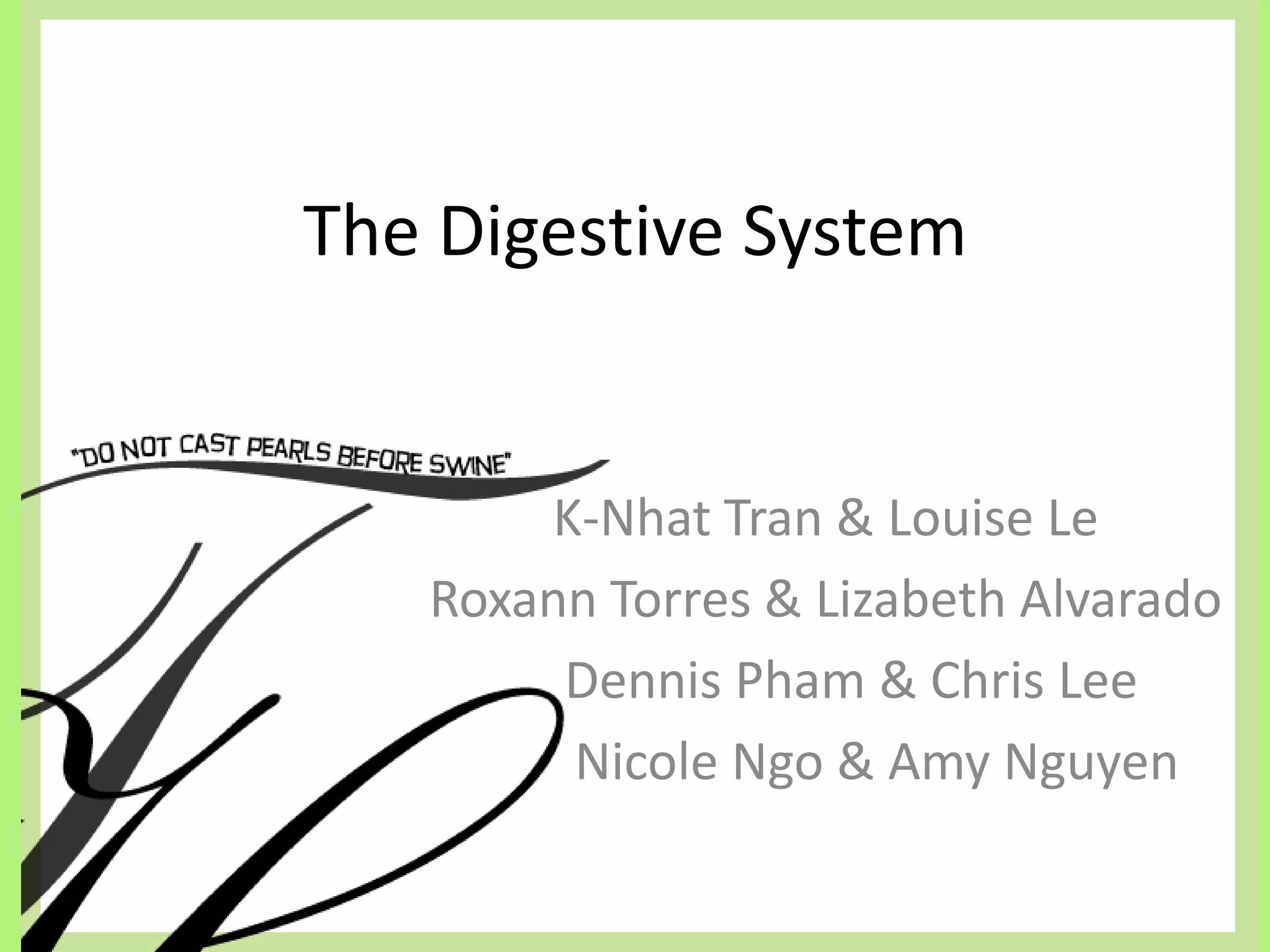 Digestive System Presentation | PPTX