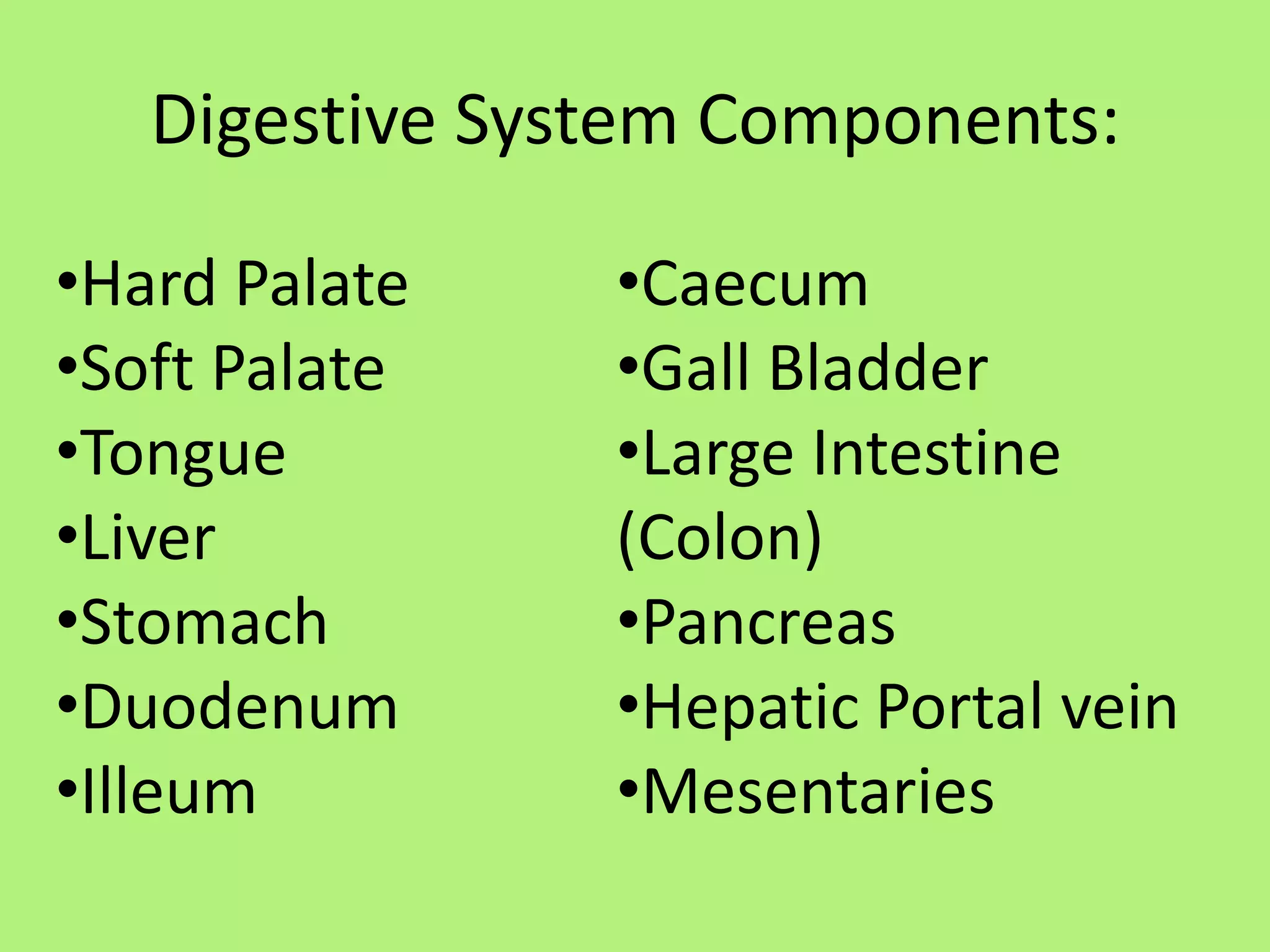 Digestive System Presentation | PPTX