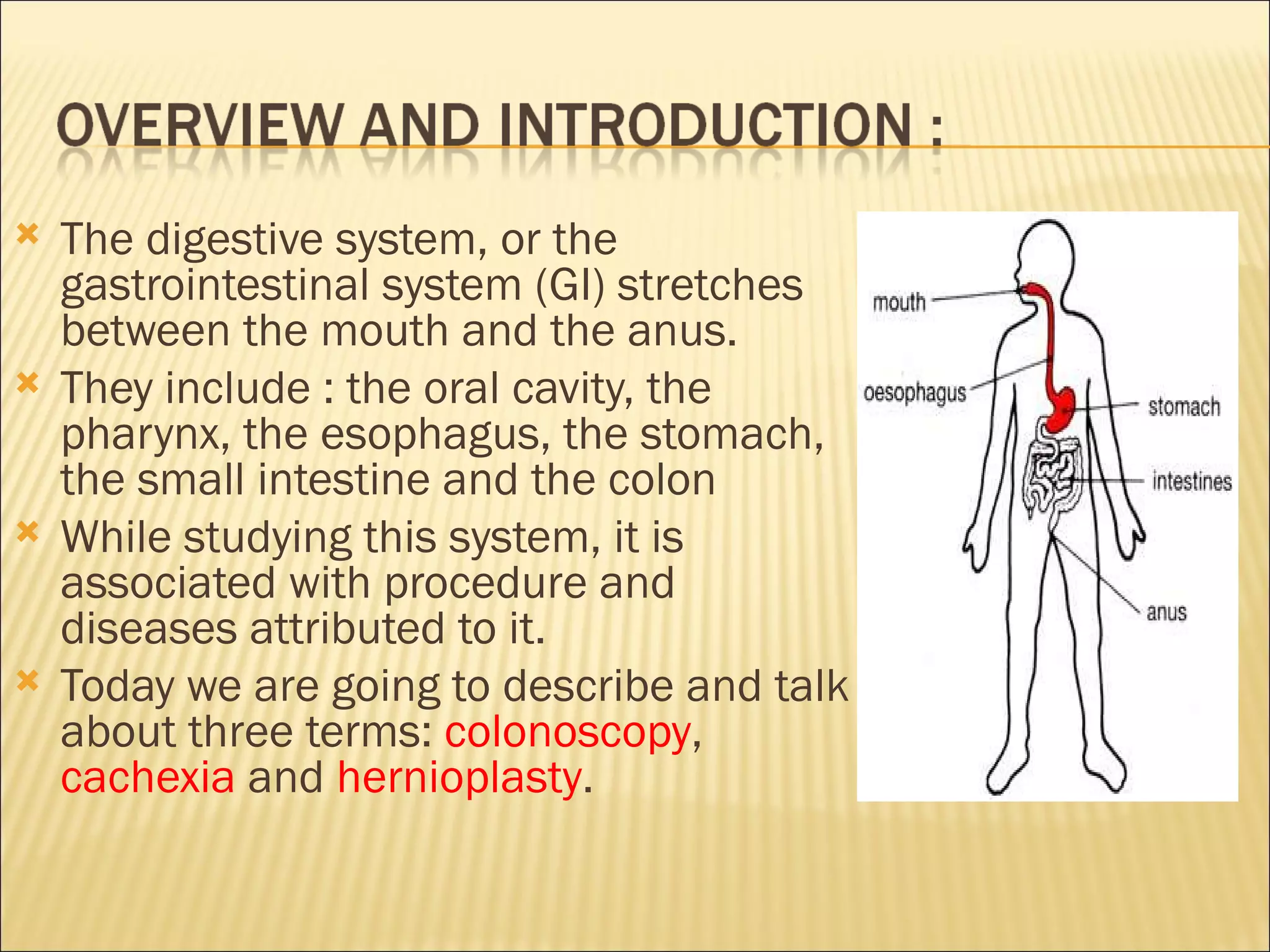 Digestive system presentation | PPT