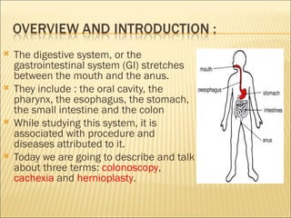 Digestive system presentation | PPT