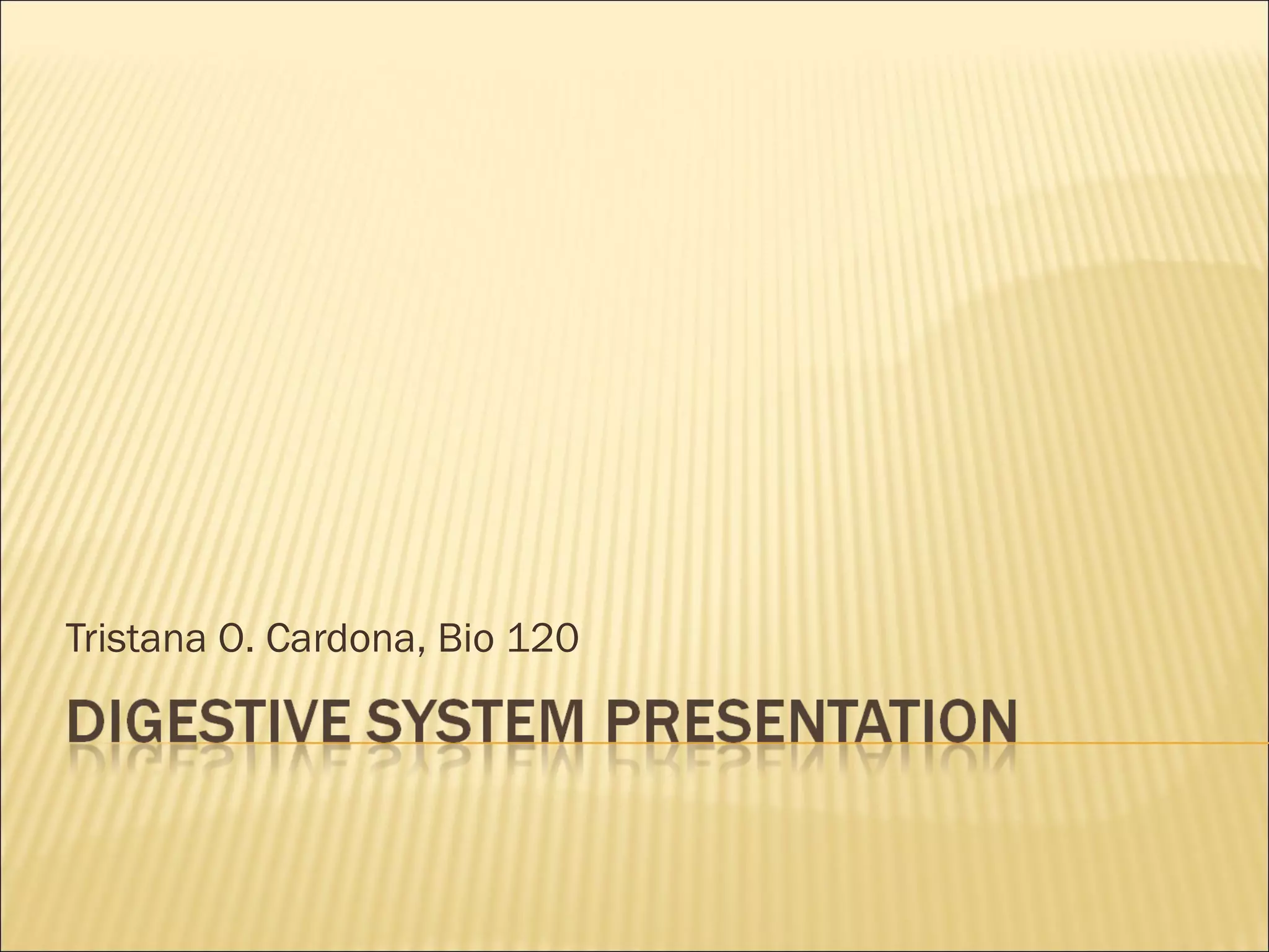 Digestive system presentation | PPT