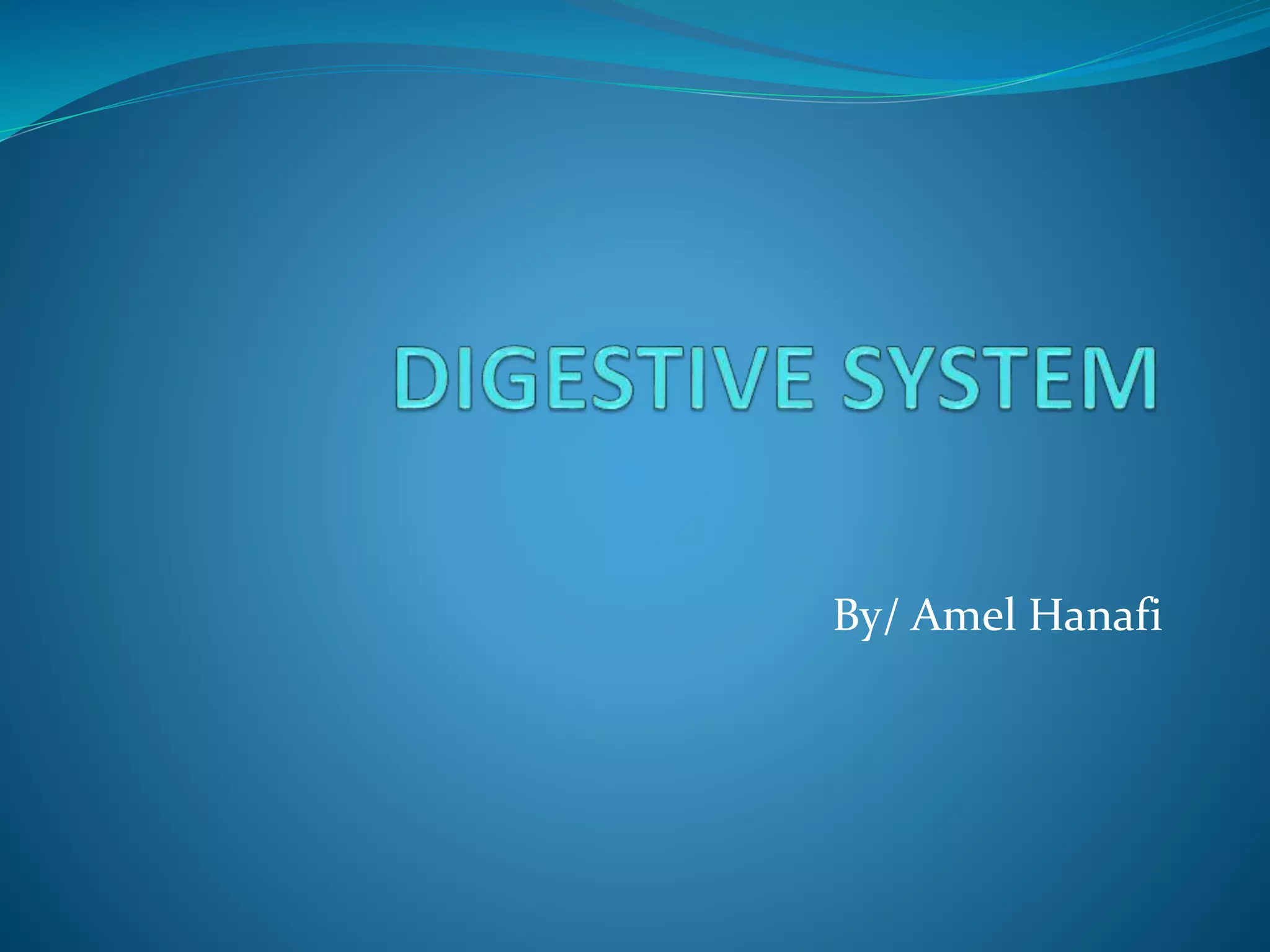 Digestive system presentation | PPT