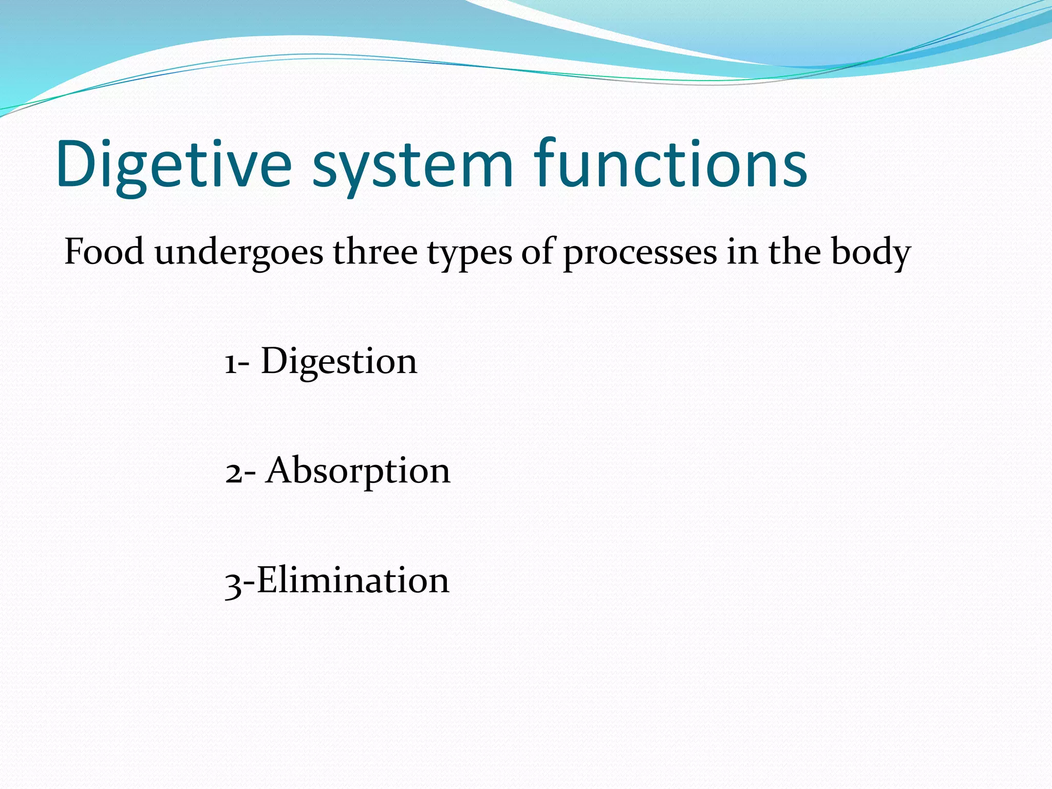 Digestive system presentation | PPT