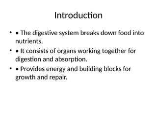 Digestive_System_Presentation.ppthguhkhx | PPTX