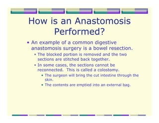 Digestive system presentation8 | PPT