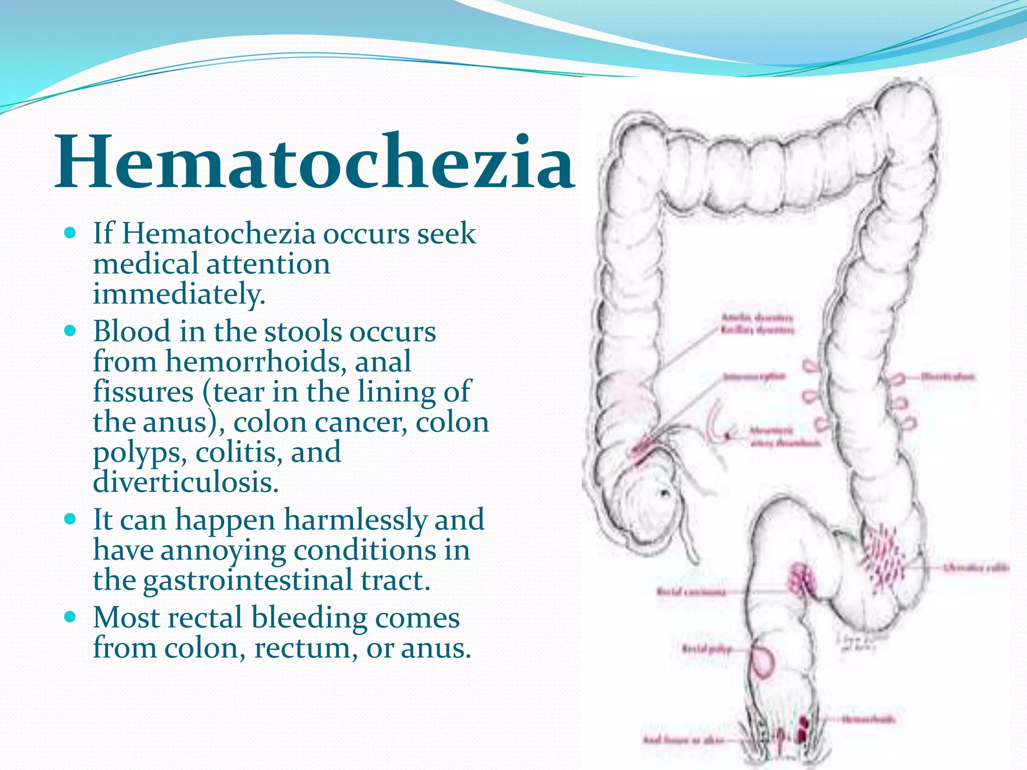 Digestive system presentation#8 | PPTX