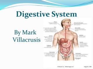 Digestive system presentation#8 | PPT