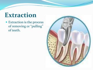 Digestive system presentation#8 | PPT