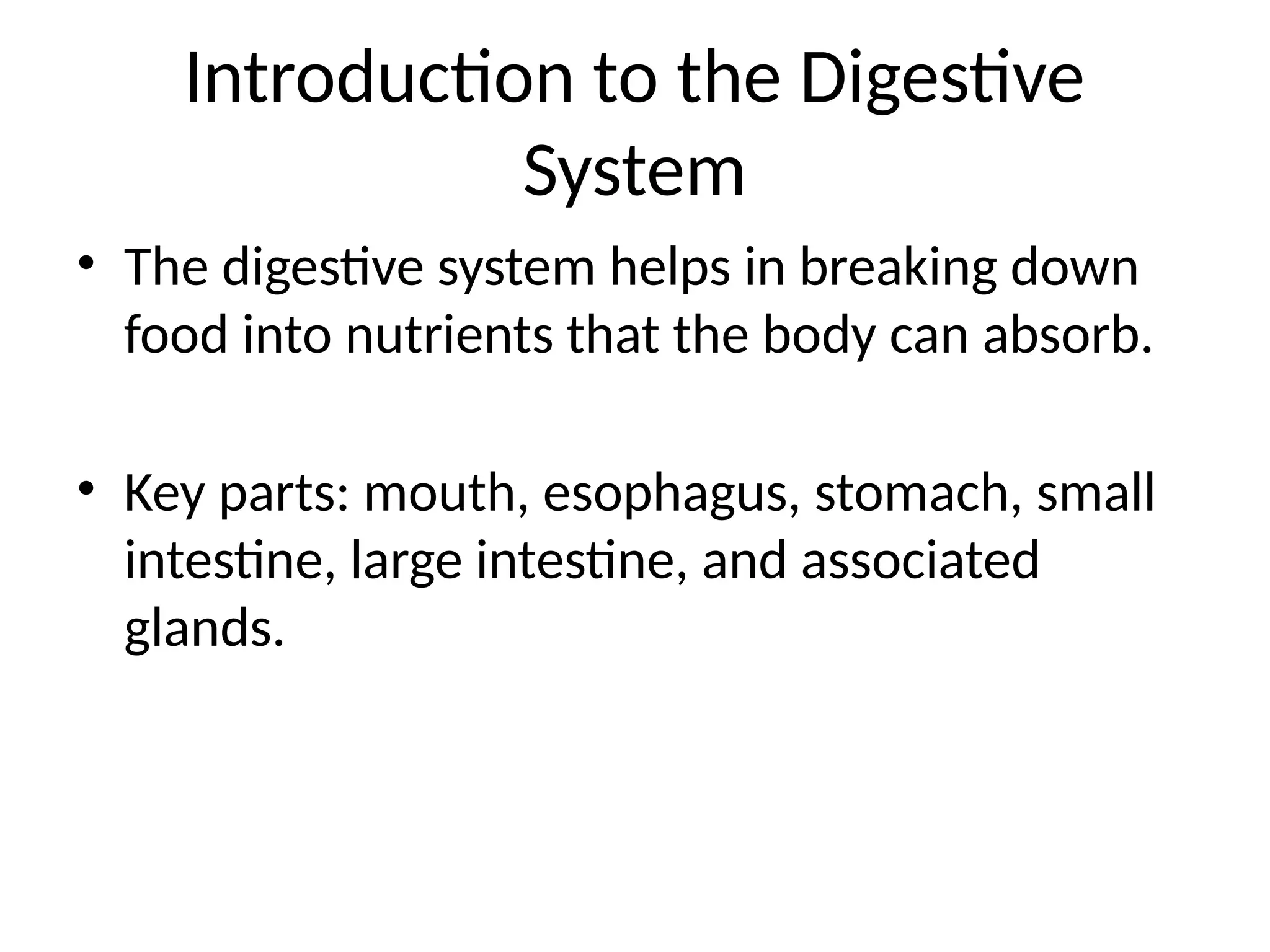 Digestive_System_Presentation_Class_8.pptx