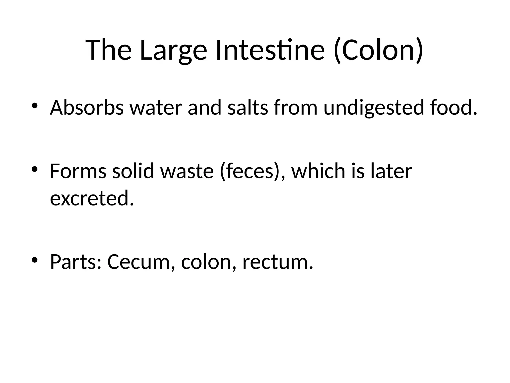 Digestive_System_Presentation_Class_8.pptx