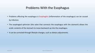 Digestive system problems | PPTX | Digestive Disorders | Diseases and ...