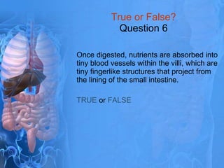 Digestive System Quiz | PPT