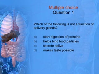Digestive System Quiz | PPT