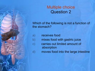 Digestive System Quiz | PPT