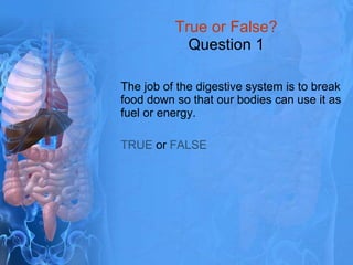 Digestive System Quiz | PPT