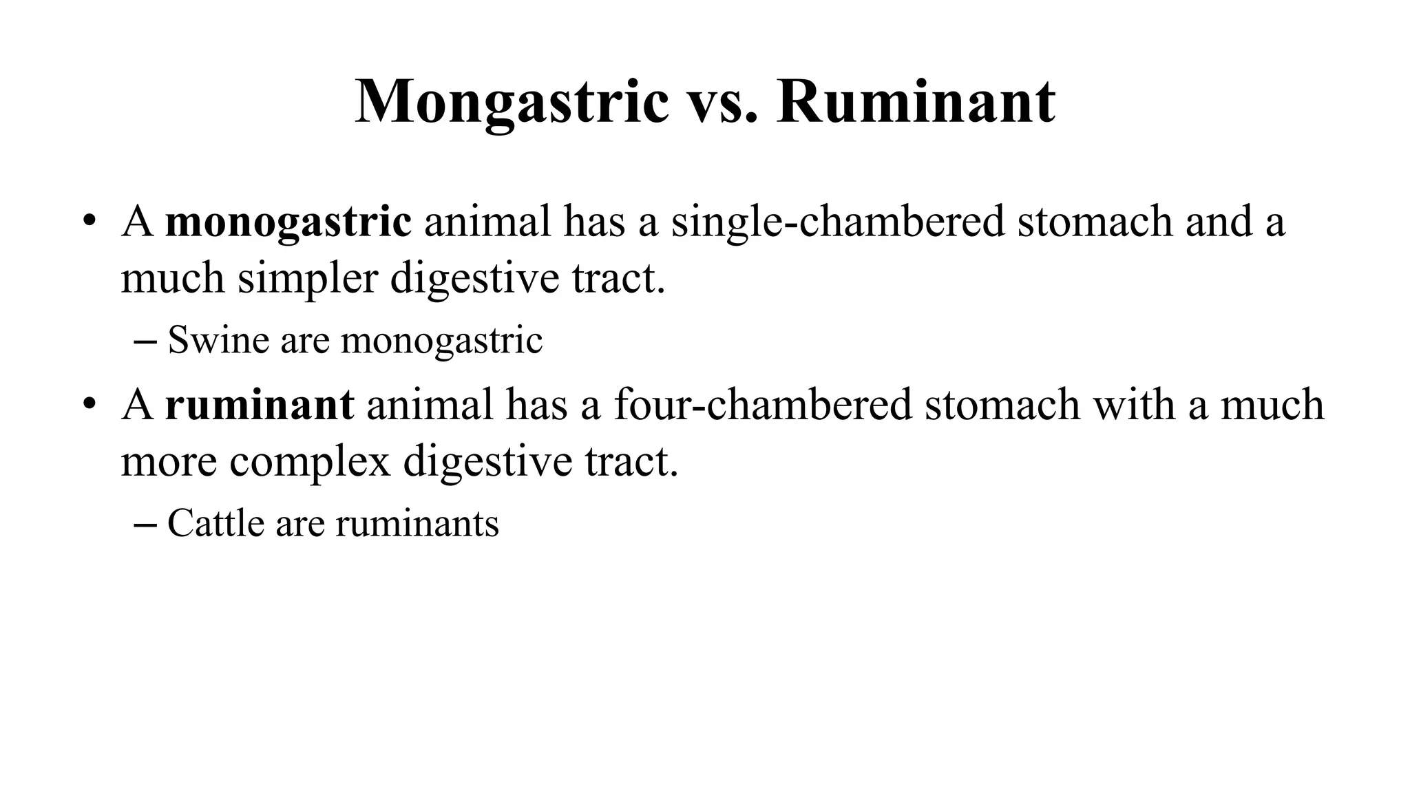 Digestive system + quiz | PPTX