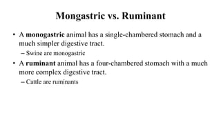 Digestive system + quiz | PPT
