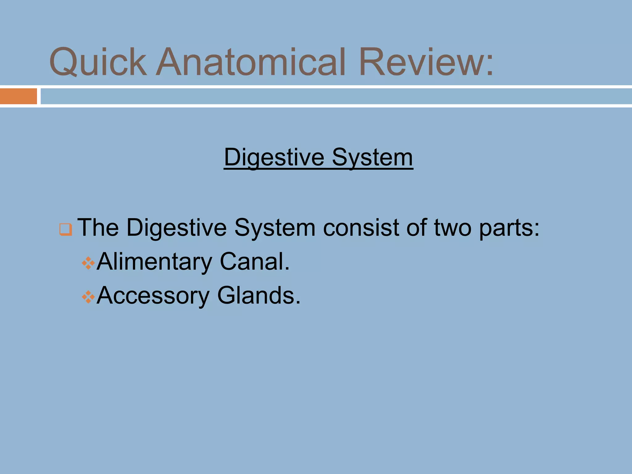 Digestive system radiography | PPSX