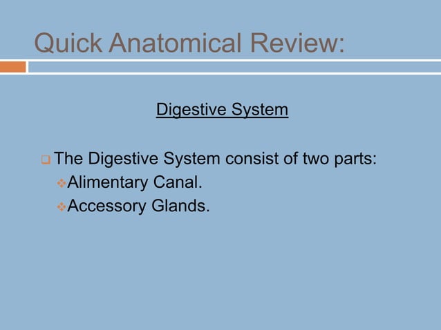 Digestive system radiography | PPSX