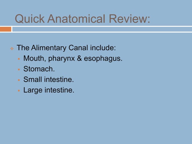 Digestive system radiography | PPSX