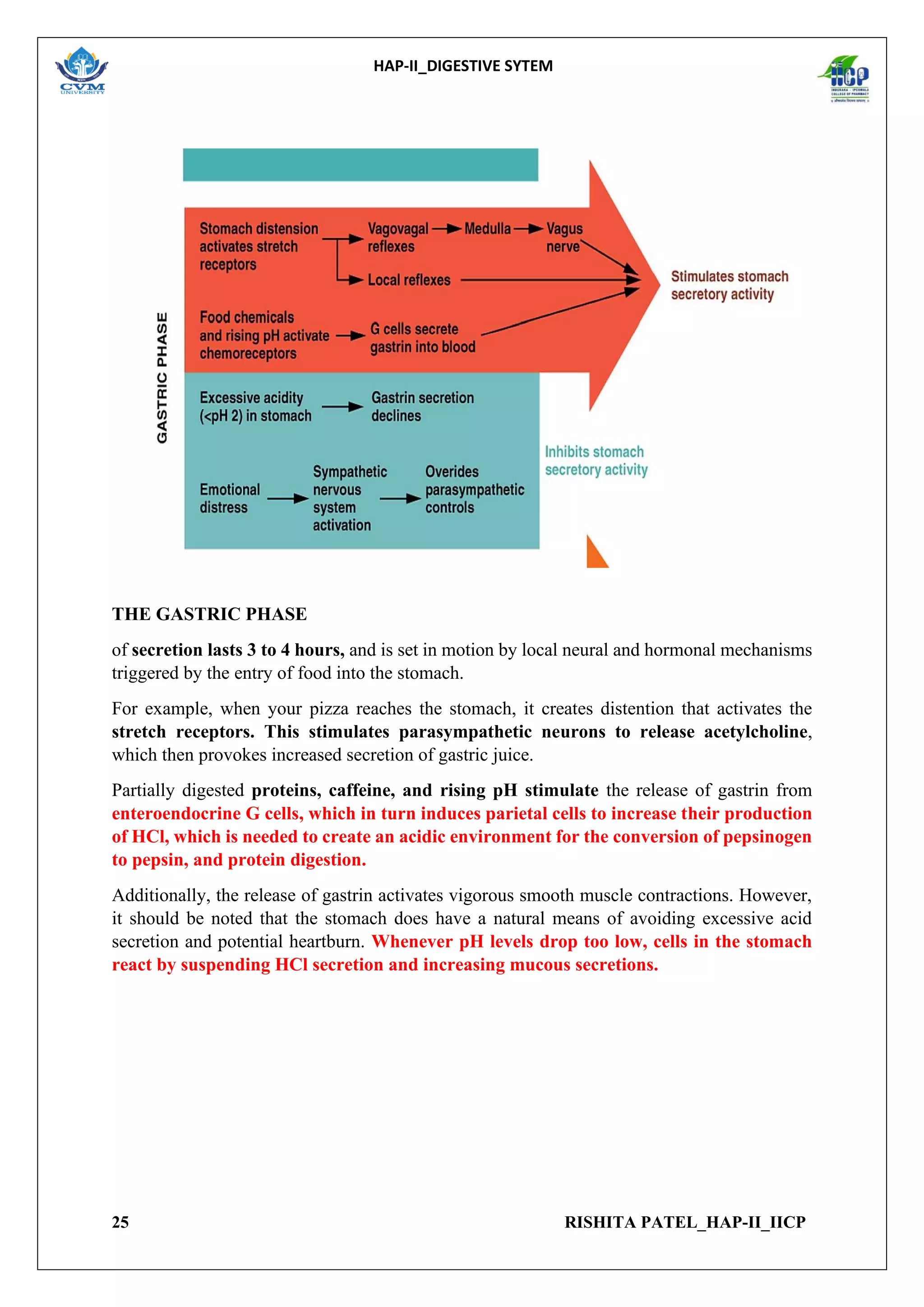 DIGESTIVE SYSTEM_RDP_ANATOMY OF ALIMENTARY TRACT.pdf