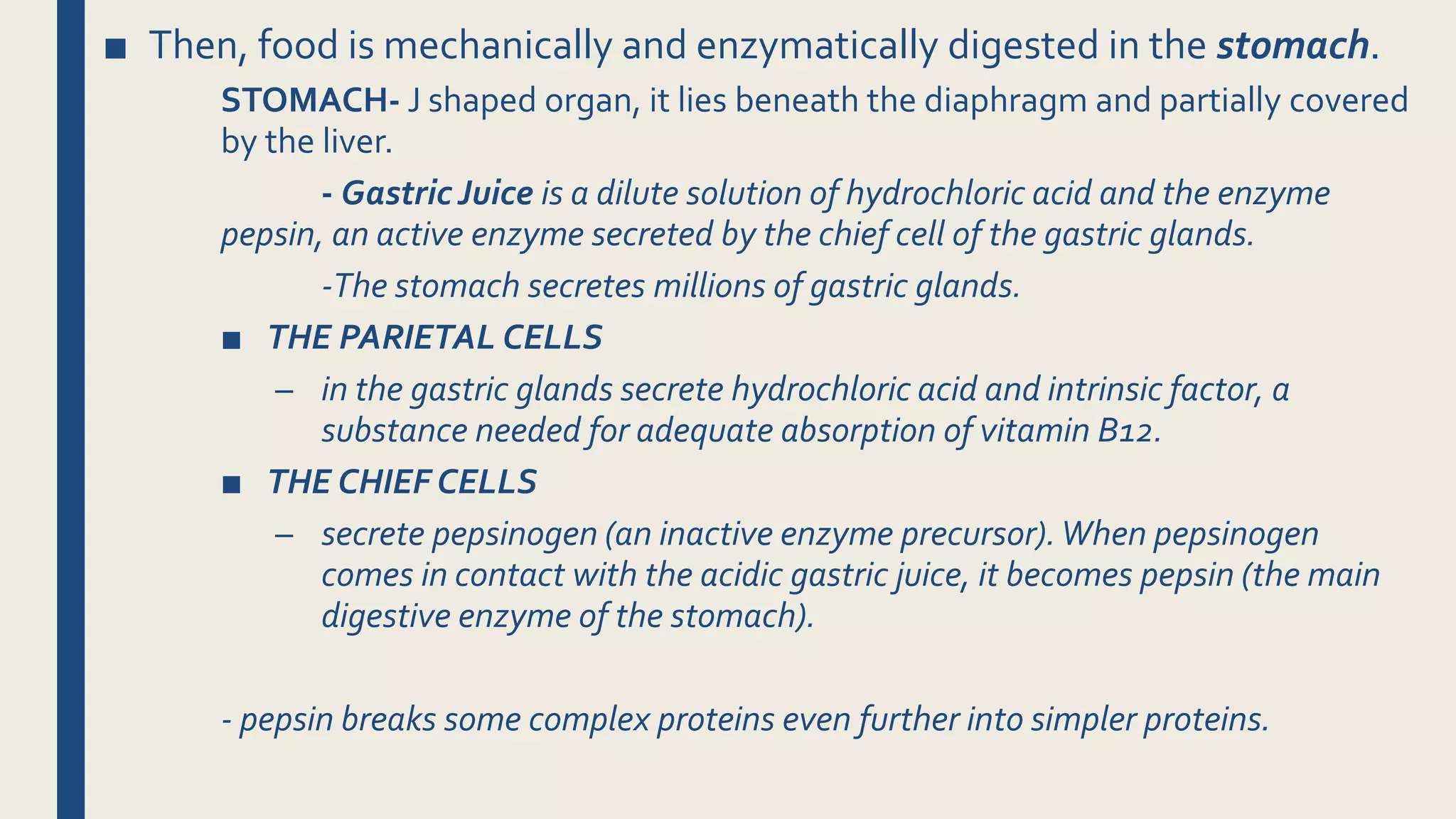 Digestive System K-12 Lesson | PPTX