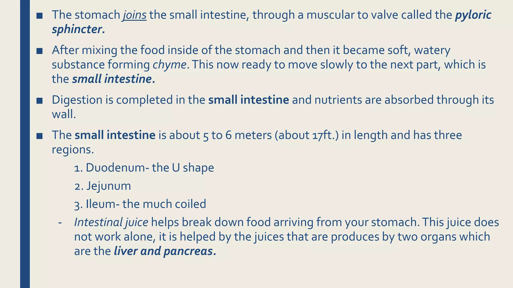 Digestive System K-12 Lesson | PPTX