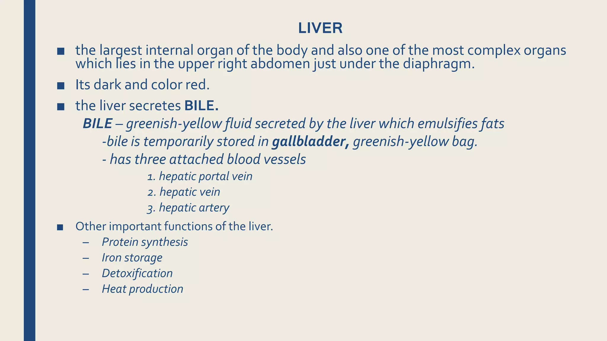 Digestive System K-12 Lesson | PPTX