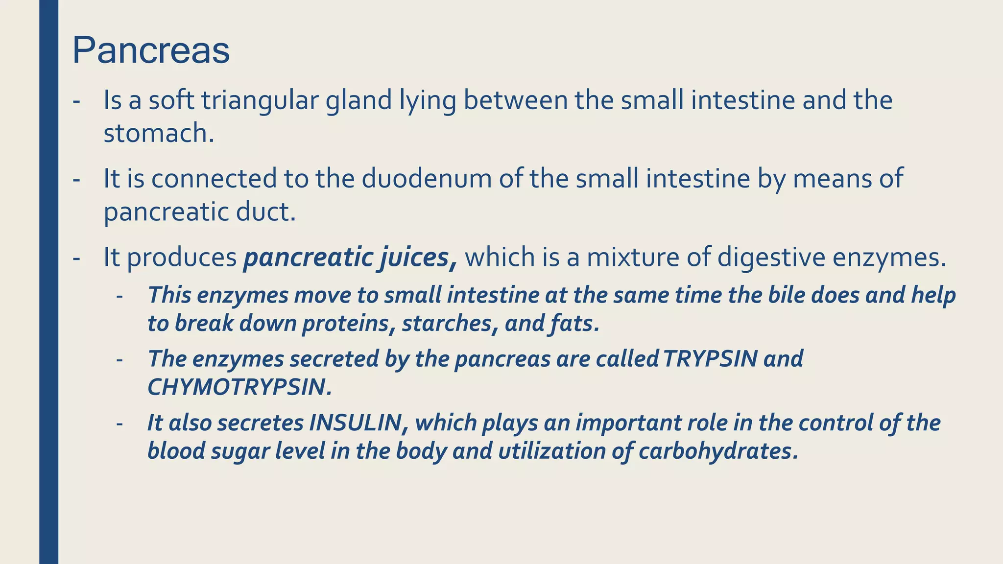 Digestive System K-12 Lesson | PPTX