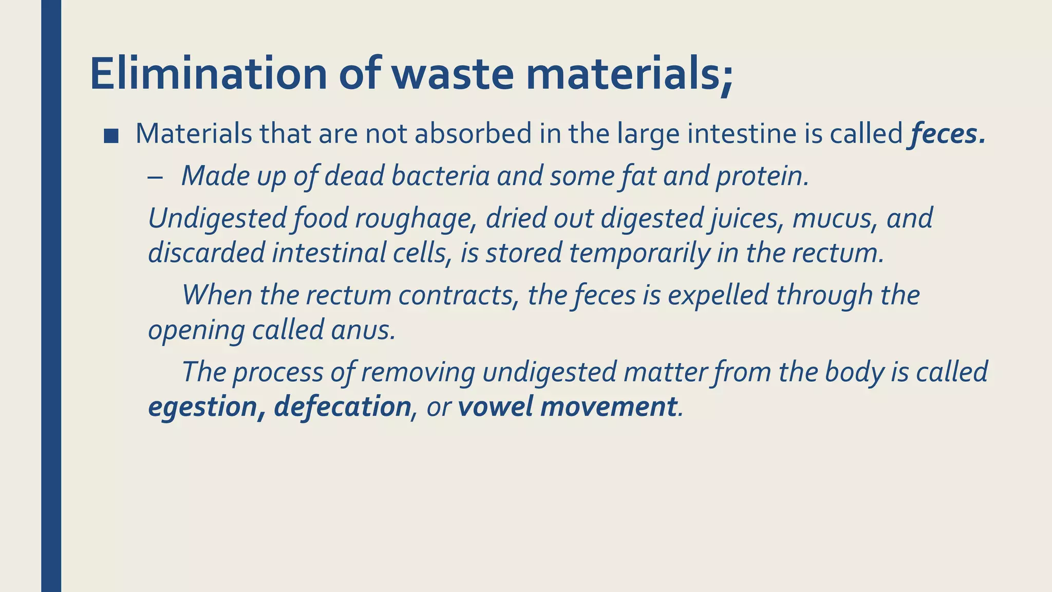 Digestive System K-12 Lesson | PPTX
