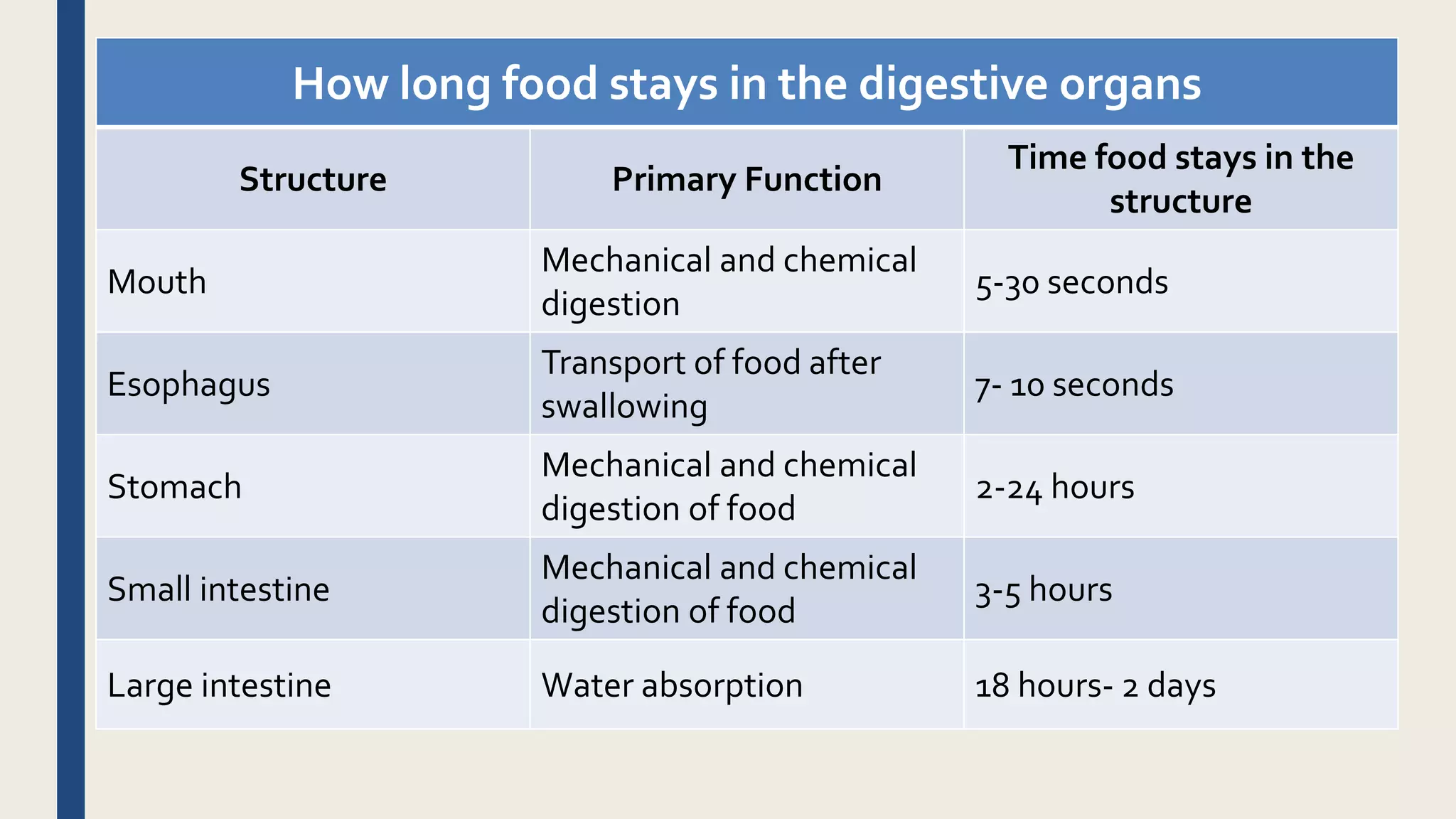Digestive System K-12 Lesson | PPTX