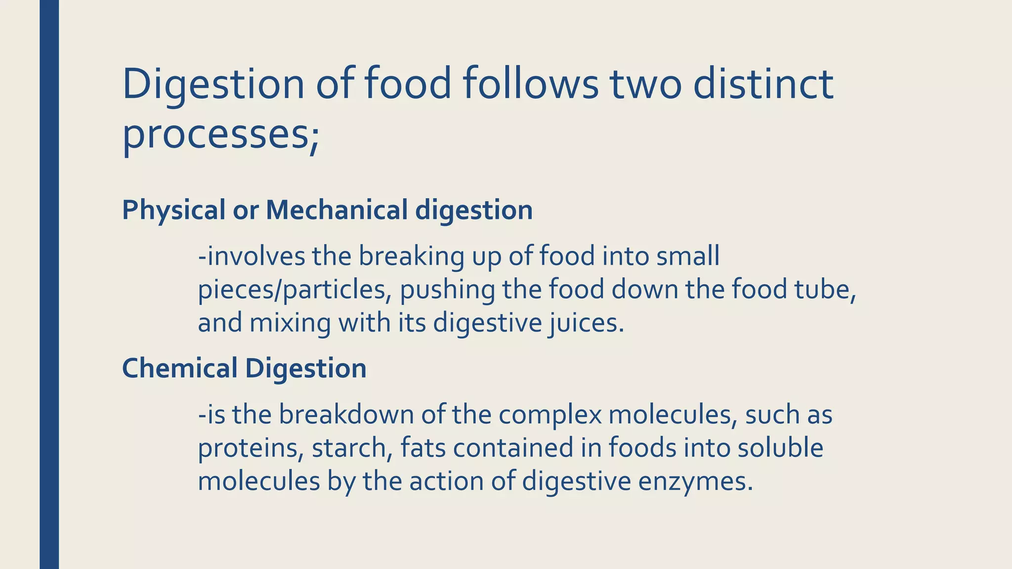 Digestive System K-12 Lesson | PPTX