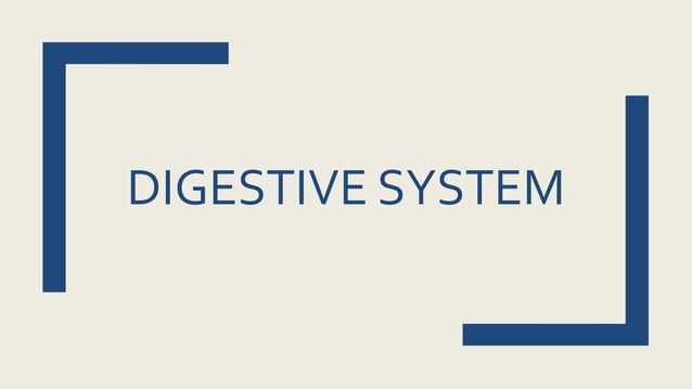 Digestive System K-12 Lesson | PPTX