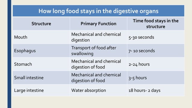 Digestive System K-12 Lesson | PPTX