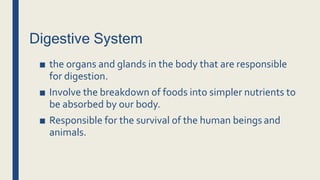 Digestive System K-12 Lesson | PPTX