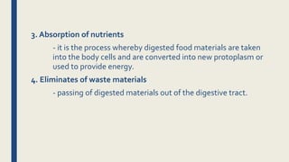 Digestive System K-12 Lesson | PPTX
