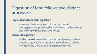 Digestive System K-12 Lesson | PPTX